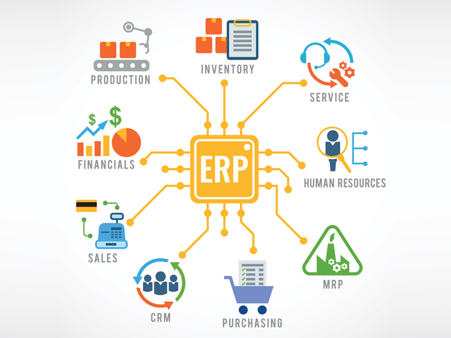 Distribution Stox launches online ordering platform, ERP in ON ...